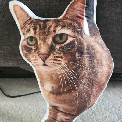 Personalized Photo DIY Humanoid Cushion Couple Toys Dolls Stuffed ...