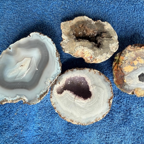 Los Choyas Coconut Geodes – Blue/gray/white Agate – Solid – Chihuahua ...