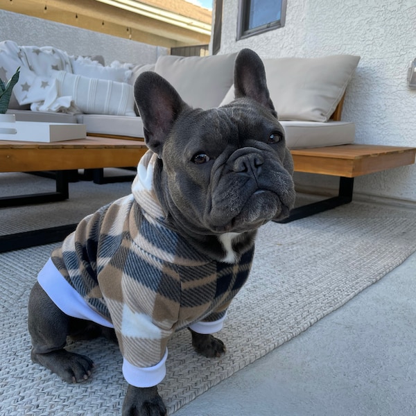 French Bulldog, French Bulldog Clothes, French Bulldog Hoodie, French ...