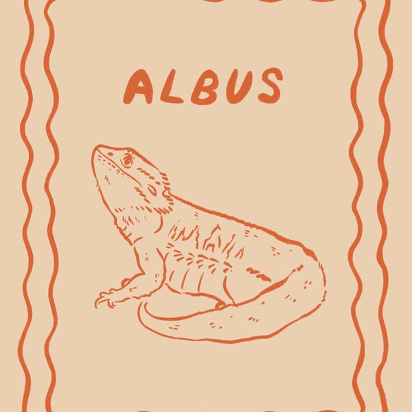 Custom Funky Pet Portrait, Cute Digital Cat Poster, Colorful Dog ...