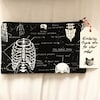 Anatomy Pencil Case, School Supplies, Skeleton Pencil Case, Back to ...