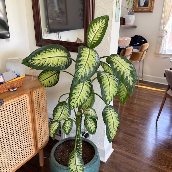 Contemporary Large Ceramic Planter - Indoor & Outdoor Pots | Speckled ...