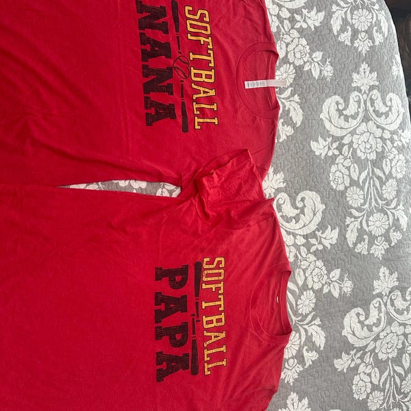 Custom Mascot Shirt, Custom Comfort Colors, Personalized School Shirt ...