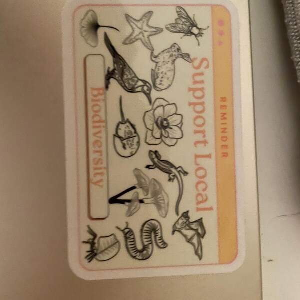 Support Local Biodiversity Environmental Preservation Original Art ...