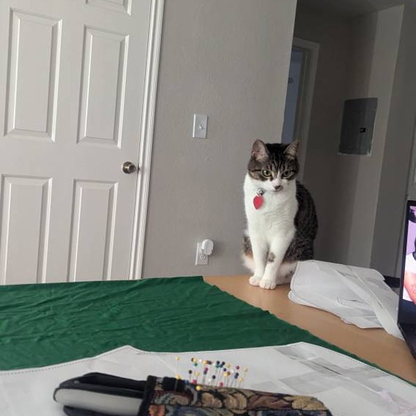 Omni-man Sewing Pattern Invincible MK1 Male Cosplay Bodysuit and Cape ...