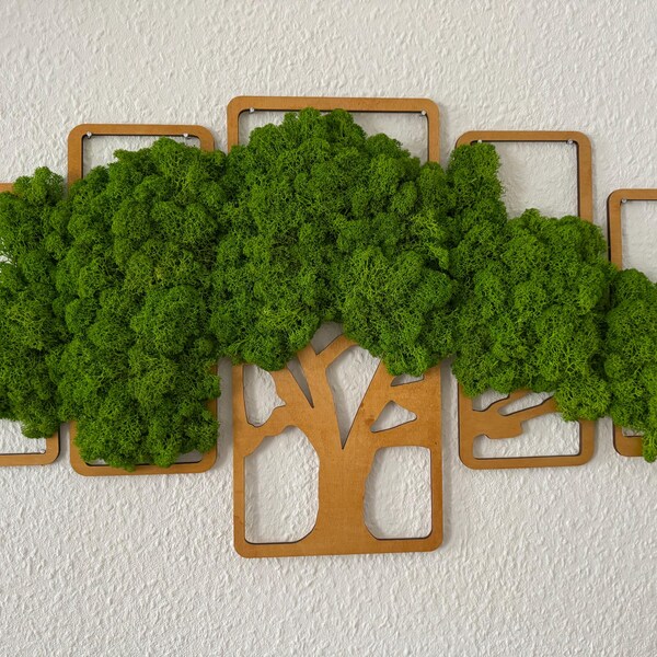 World Map With Moss Home Decoration Botanical Triptych 3 Piece - Etsy