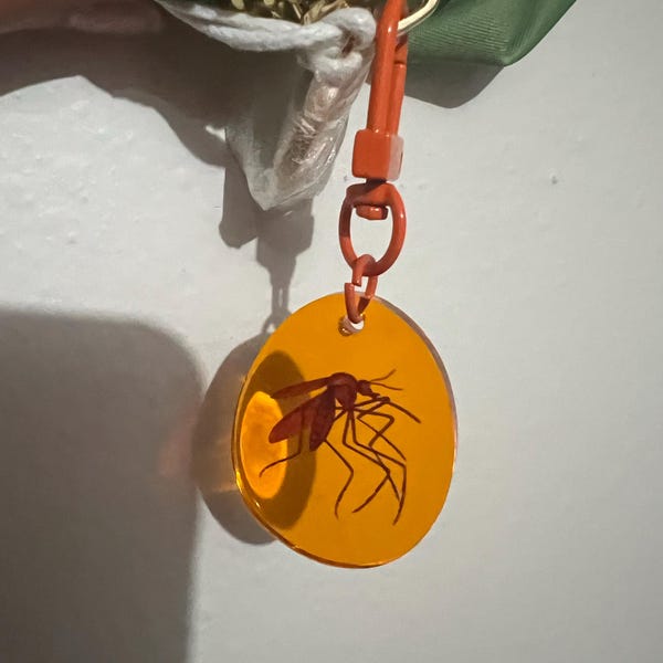 Faux Amber Insect Fossil Acrylic Keychains - Etsy