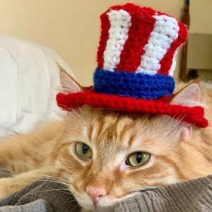 Uncle Sam Hat for Cats 4th of July Cat Accessory - Etsy