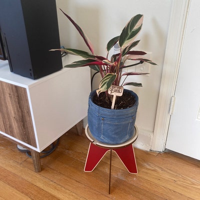 LOOOP Wooden Plant Stand, Wood Plant Holder, Indoor Plants, Plant Riser ...