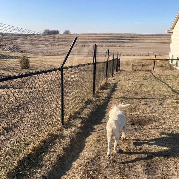 Extend-a-post Vertical Bolt-on T-post Extension X 2' Long - Vineyard ...