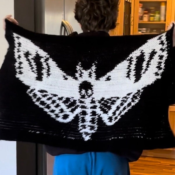 Luna Moth Afghan Crochet Pattern *pattern Only* - Etsy