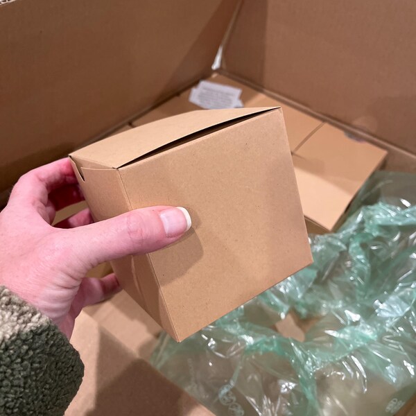 Bobber Fishing Lantern Lights - Etsy