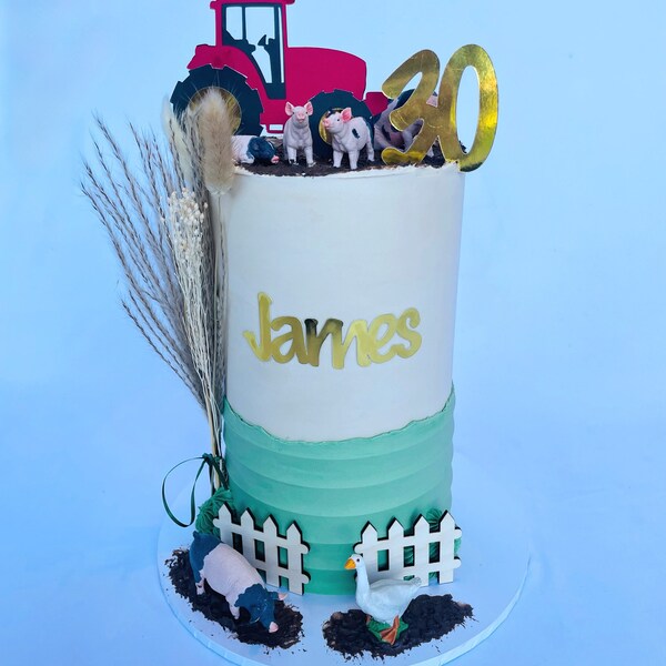 Peter Rabbit Themed Cake Topper and Fences | Personalised | Various ...