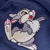 Thumping Foot Thumper Embroidery Design, 4x4 Hoop Bambi Movie ...