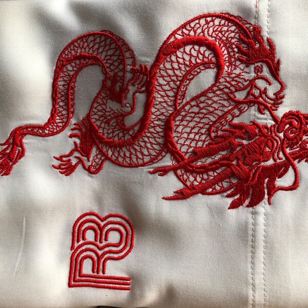 Chinese Dragon Machine Embroidery Design, Instantly Download - Etsy