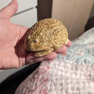 Baby Turtle Figurine . 3cm Length , Cute Turtle - Etsy