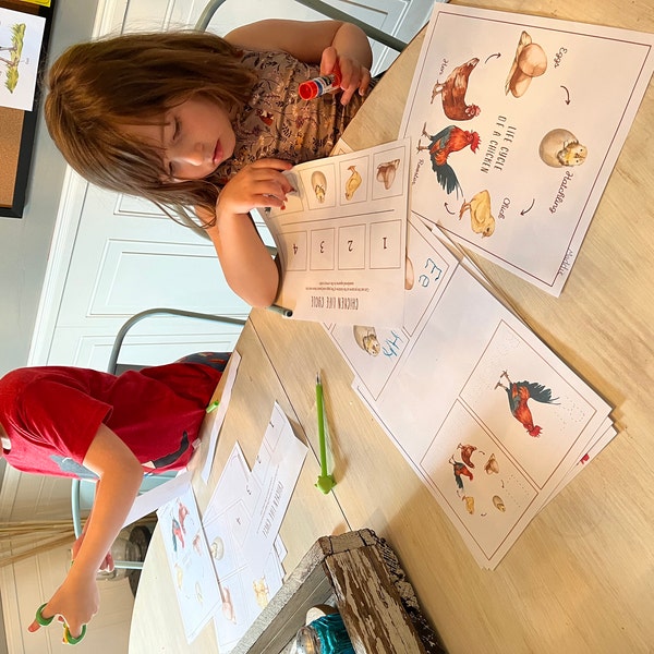 BEE Unit Study, Life Cycle, Anatomy, Nature Study, Science, Homeschool ...