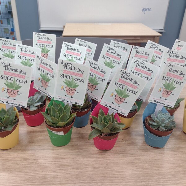 Teacher Appreciation Gift - Succulent Tag Printable - Staff Thank You ...