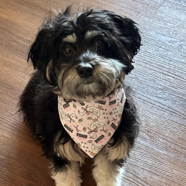 Orange Hearts, Flower Curved Neck Snap on Dog Bandana, Winter Pet ...