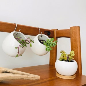 Bagged Leca Expanded Clay Terracotta Beads - Etsy