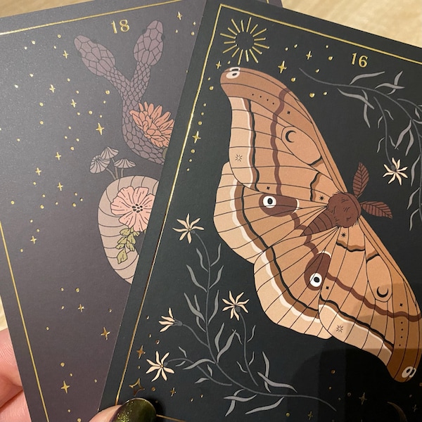 Forest Tales Oracle Deck - Moon Witch Series - Etsy