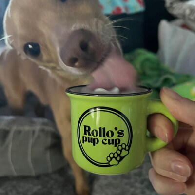 Reusable Pup Cup Custom Puppuccino Mug Dog Mom Gift 2oz Personalized ...