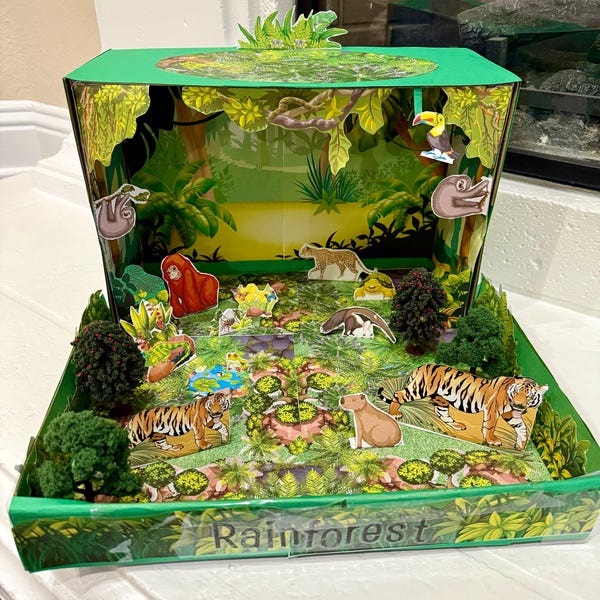 Shoebox Water Cycle Diagram Diorama, Create Your Own Papercraft Water ...