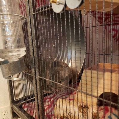 Exterior/interior Full Sets of Cage Guards / Cage Poop Guards MOST ...