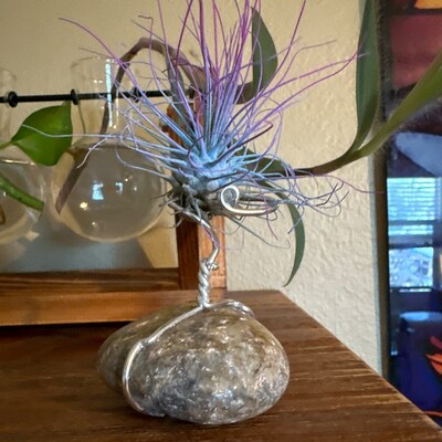 Plant Stake, Plant Décor, Gemstone Plant Stake, Plant Accessory ...