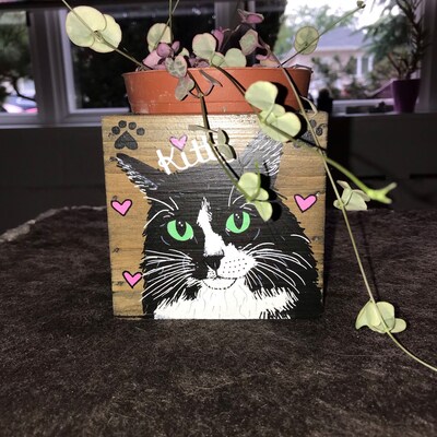 Small Cat Planters Set of 3 Wood Succulent Boxes Black Cat - Etsy