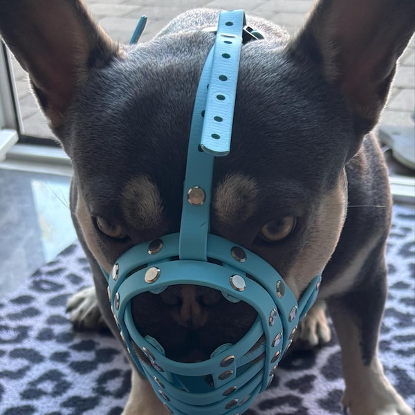 Custom Made to Measure Colourful Biothane Dog Muzzle - Ultra Adjustable ...