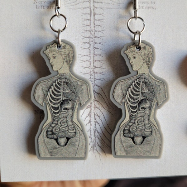 Mouse Brain Acrylic Microscope Slide Ornament - 3.5” - Etsy