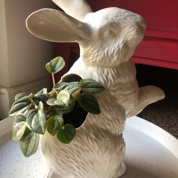 Ceramic Standing Eatser Bunny Planter Pot/ off White Rabbit Planter Pot ...