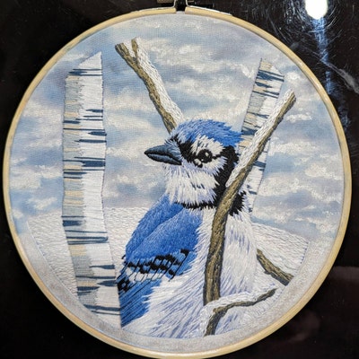 Blue Jay Embroidery Kit, Complete Kit, Detailed Instructions, DMC Floss ...