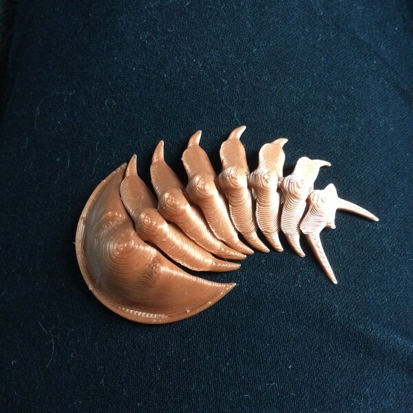 Flexi Snake Model and Fidget Toy - Etsy