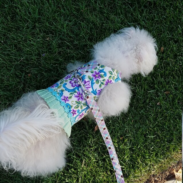 Lollypups - Etsy