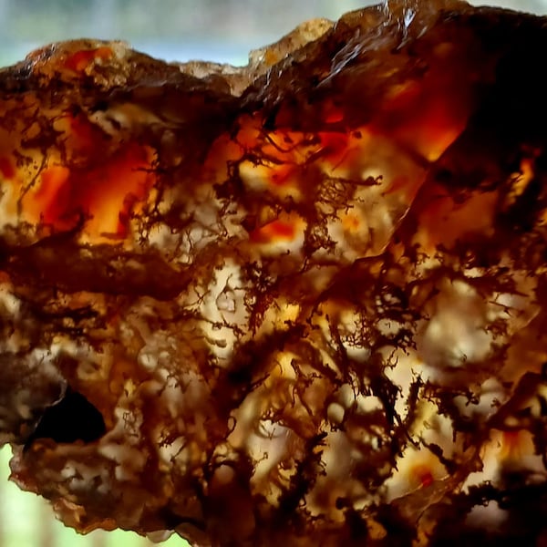 Carnelian Tube Agate Slab - SW Washington - Badger Slab - Etsy