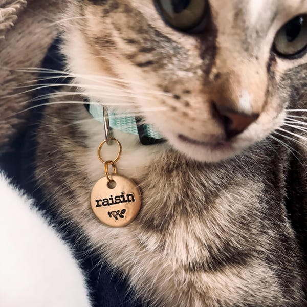 Cat Tag, Cat ID Tag, Small Pet Tag, Cat Name Tag, Microchipped Tag ...