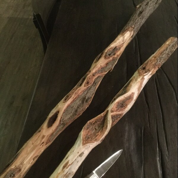 57" Diamond Willow (2~YOU Carve trekking Sticks) Walking Stick ...