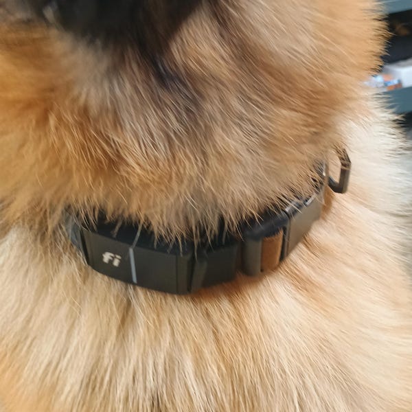 Fi Series 2 Collar Adapter - Etsy