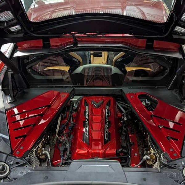 2016-2022 GT500 / GT350 RADIATOR COVER PLATE White and Blue Metallic - Etsy