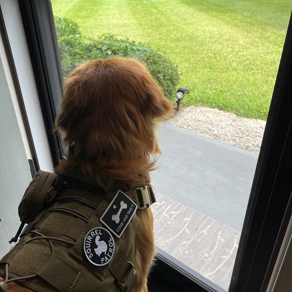 Squirrel Patrol Embroidered Patch With Hook and Loop Fastener Available ...