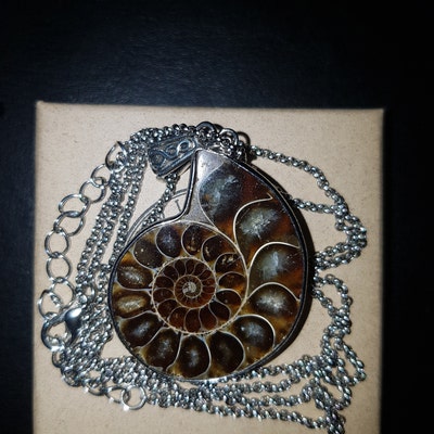 Unique Gifts Real Ammonite Bookmark Fossil Bookmark Fossil Jewellery ...