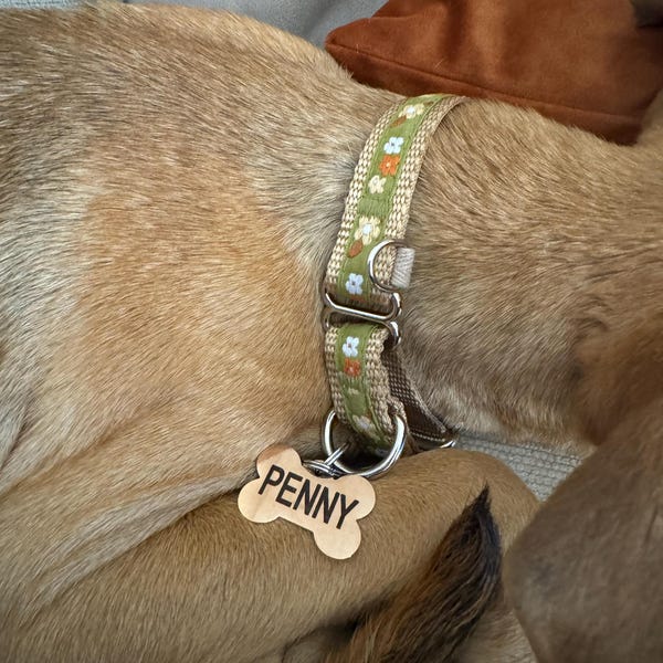 UGLY Bells for Pet Collar Chipped Jingle Bell for Cat Collar Character ...