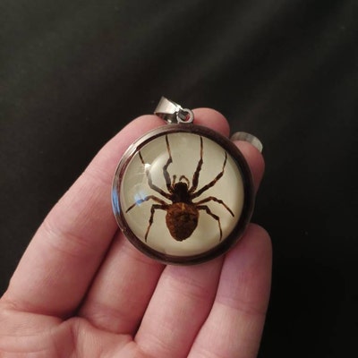 Real Spider Wire Wrapped Choker Necklace With Red Rose Flower and Tiger ...