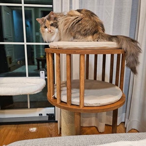 Square Modern Low Cat Table, Cat Furniture, Cat House - Etsy