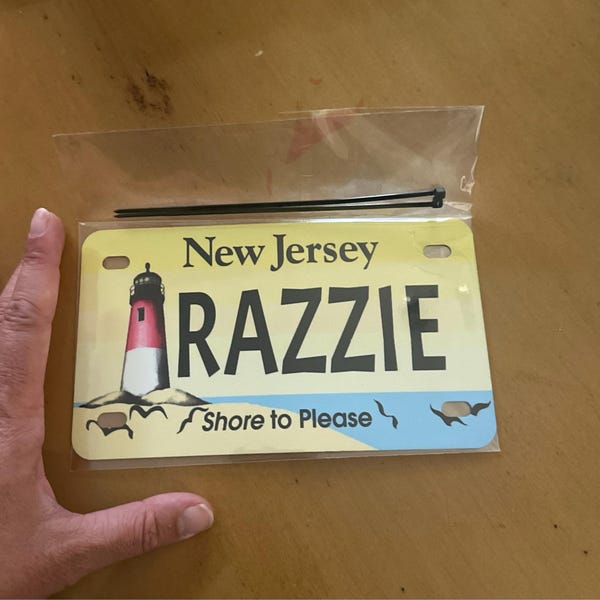 Custom Bicycle License Plates for Girls, Personalized With Any Name. 6 ...