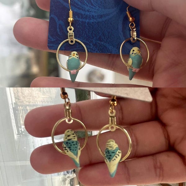 Green and Yellow Parakeet Budgie on a Perch Earrings - Etsy