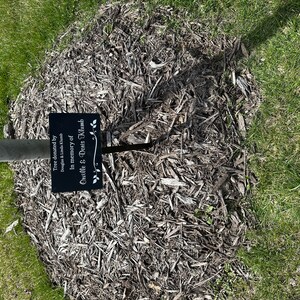 Engraved Metal Plaque, Outdoor Memorial Plaques, Memorial Gardening ...