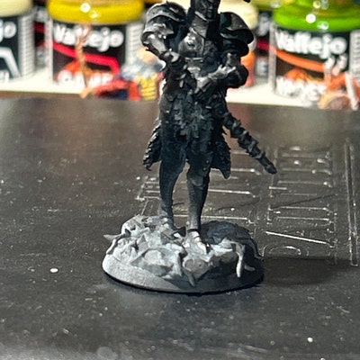 22mm Capybara Mount for Dungeons and Dragons D&D Pathfinder Dnd ...